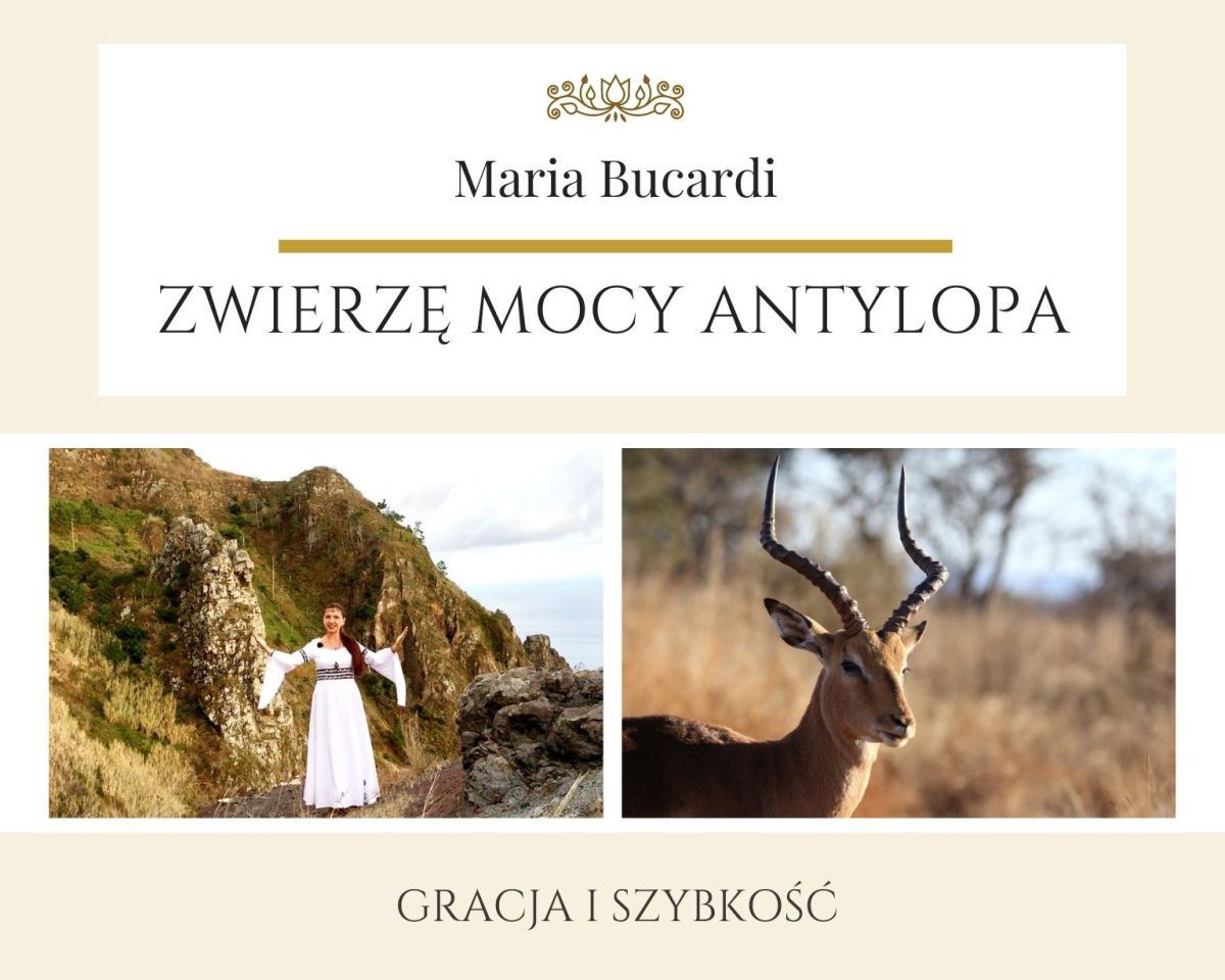 Zwierzęta Mocy wg Marii Bucardi – Strona 3. – Zwierzęta Mocy wg Marii ...