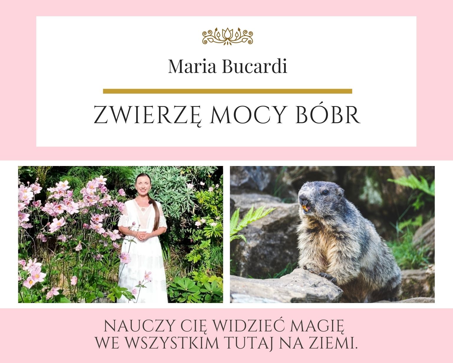 Zwierzęta Mocy wg Marii Bucardi – Strona 4. – Zwierzęta Mocy wg Marii ...