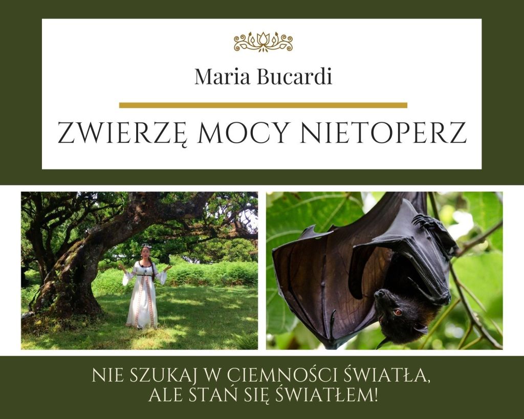 Zwierzęta Mocy wg Marii Bucardi – Strona 5. – Zwierzęta Mocy wg Marii ...