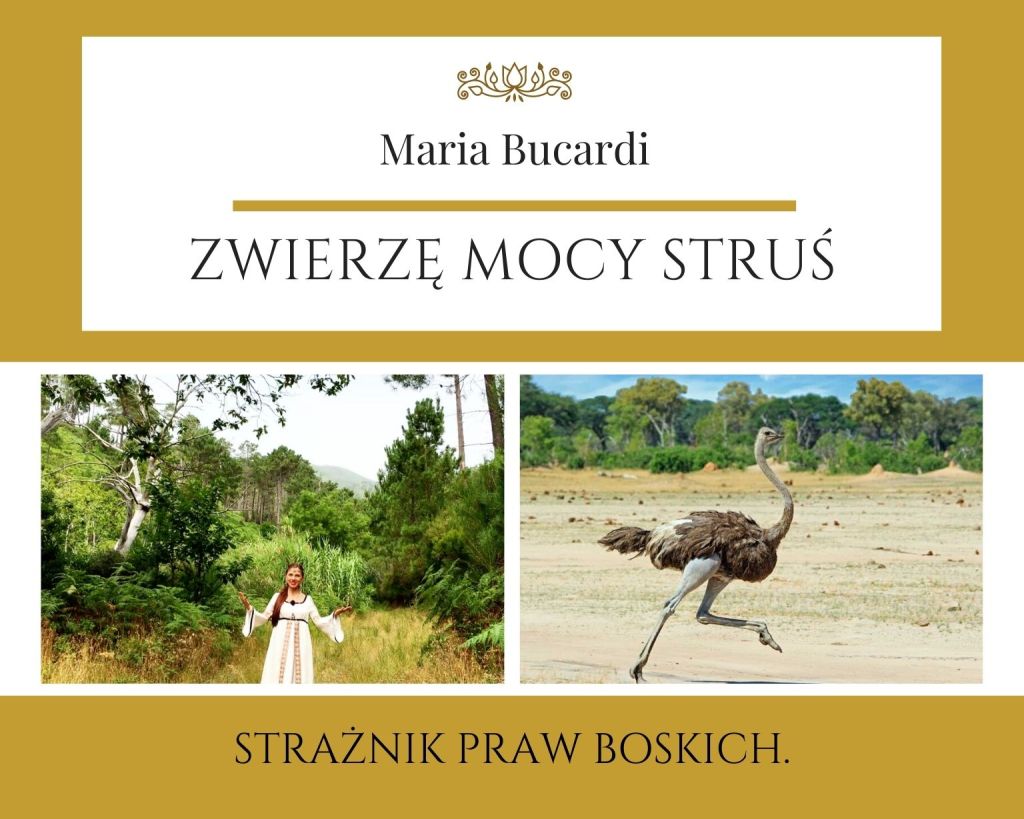 Zwierzęta Mocy wg Marii Bucardi – Strona 5. – Zwierzęta Mocy wg Marii ...
