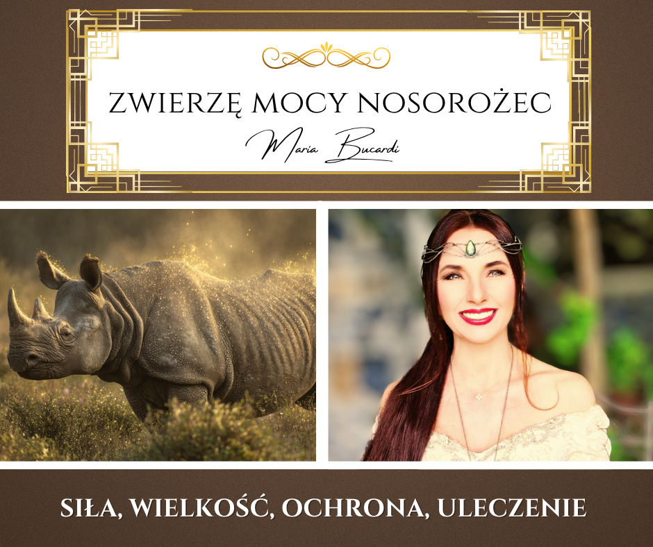 Zwierzę Mocy Nosorożec – Czy Twoja skóra stała się gruba jak pancerz ...