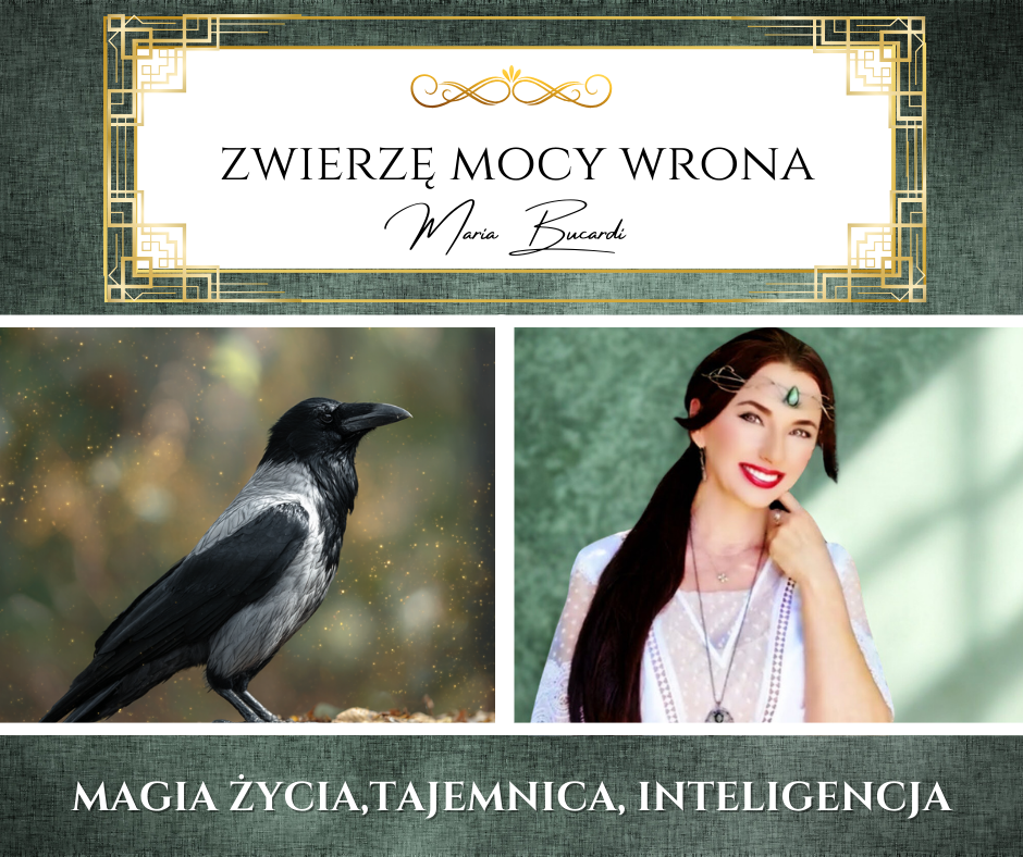 wrona zwierzę mocy – Zwierzęta Mocy wg Marii Bucardi