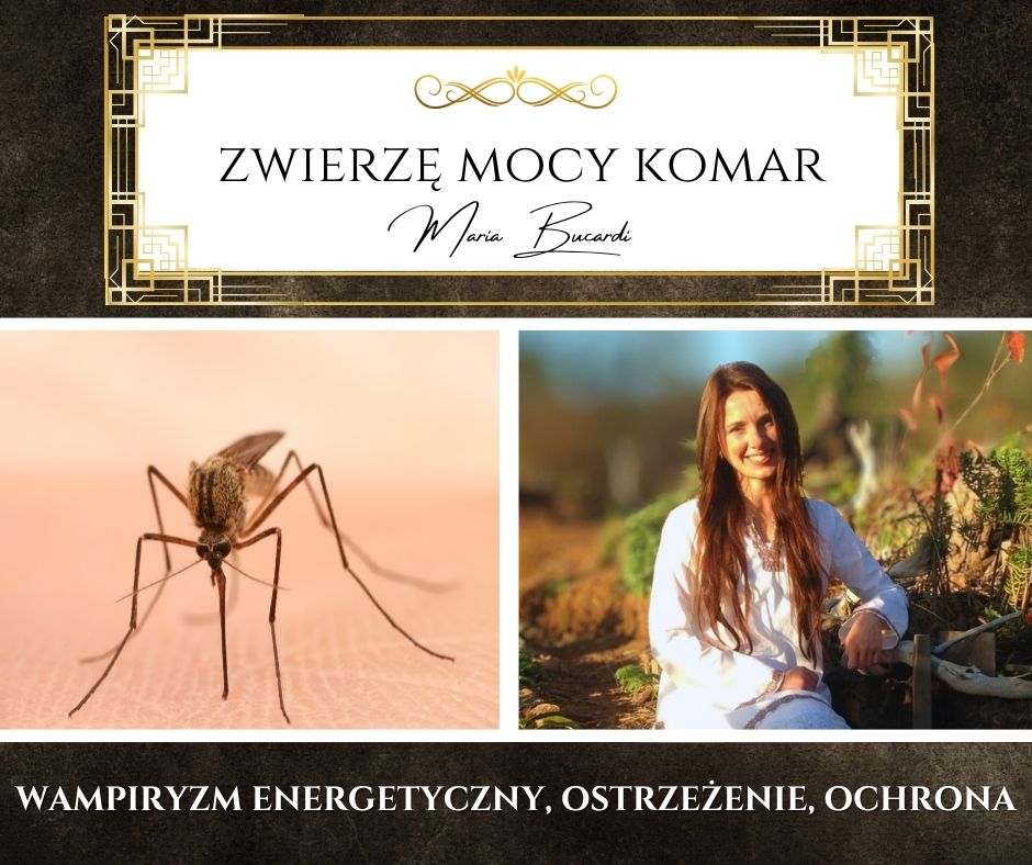 Zwierzę Mocy Komar – „Nie jestem Twoim wrogiem. Ostrzegam Cię przed ...