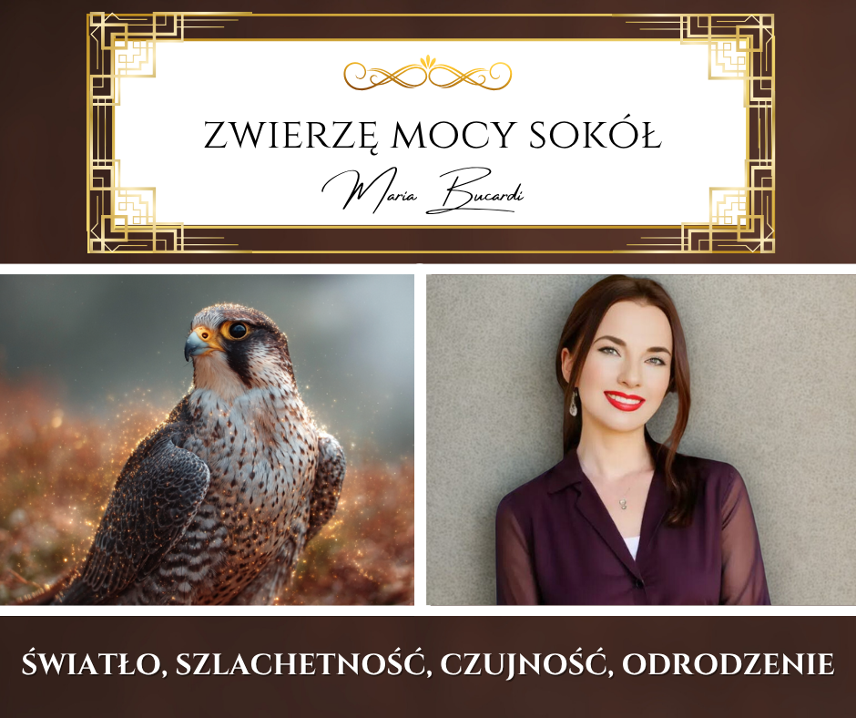 Zwierzę Mocy Sokół – nawet najdłuższa droga zawsze rozpoczyna się od ...