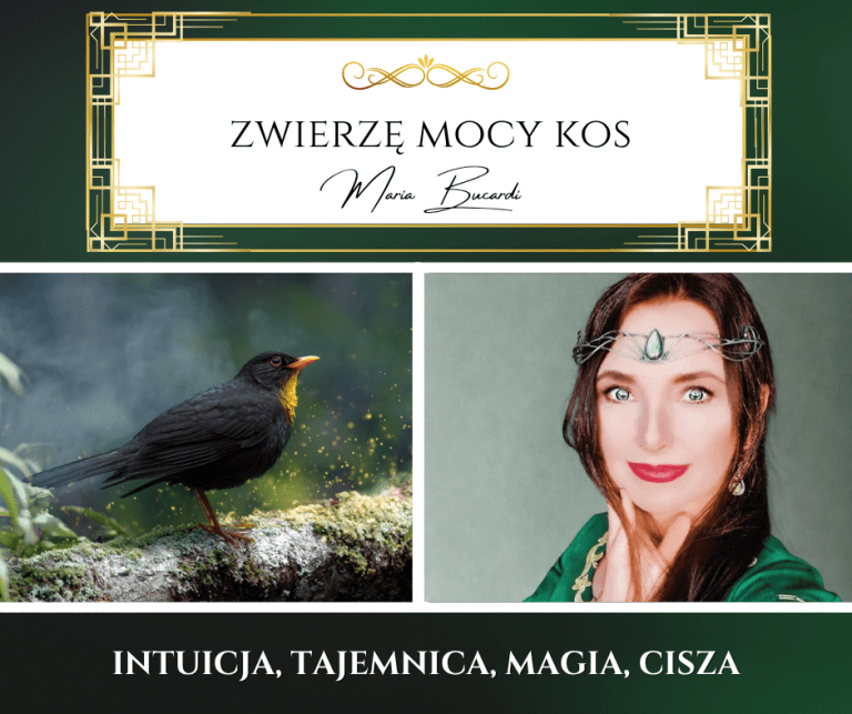 kos duchowy przewodnik – Zwierzęta Mocy wg Marii Bucardi