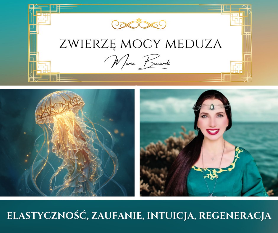 meduza nieśmiertelność – Zwierzęta Mocy wg Marii Bucardi