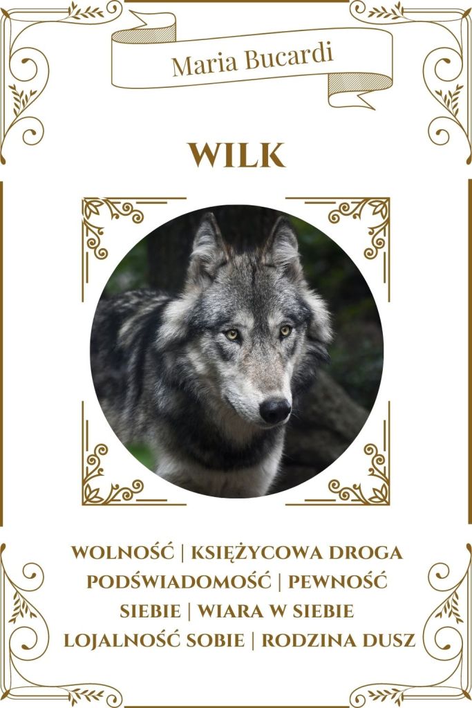 Orakel karty Zwierzęta Mocy Marii Bucardi, galeria. Możesz wydrukować ...