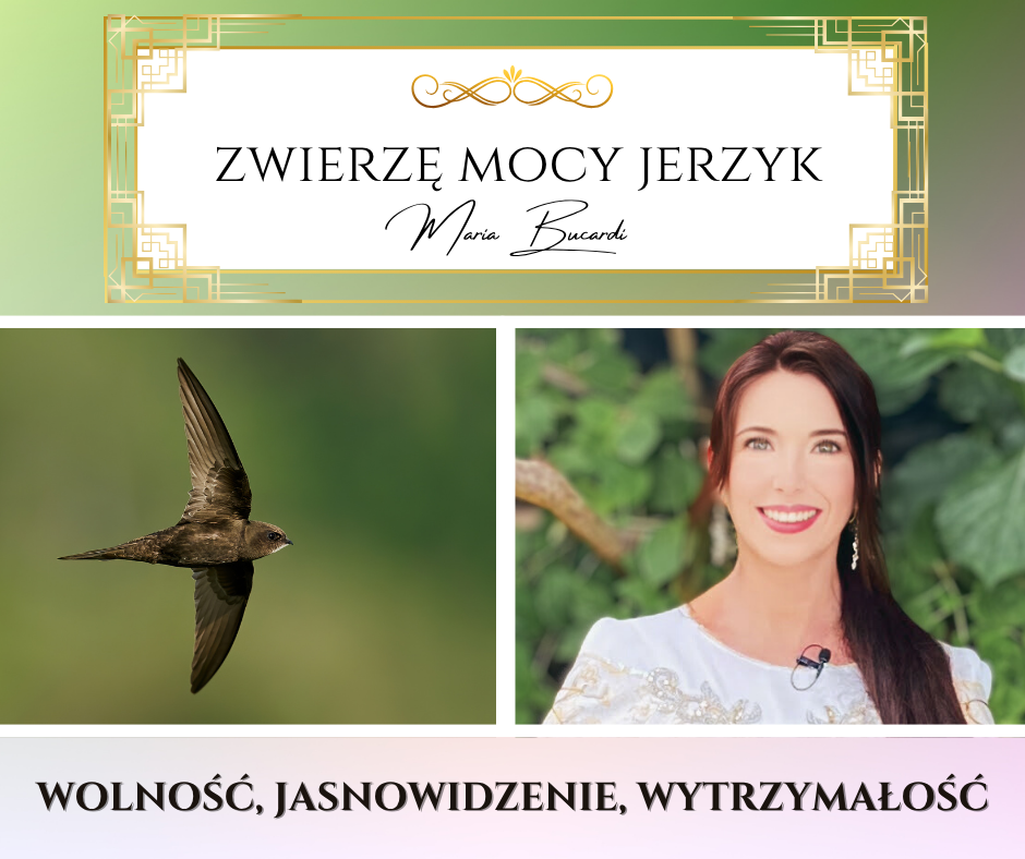 Zwierze Mocy Jerzyk – „Nie pozwól, by Twój własny lęk odebrał ci ...