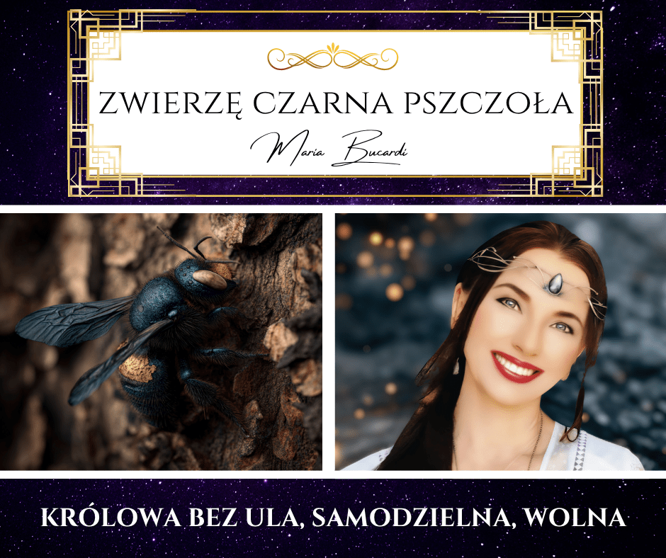 Zwierzę Mocy – Czarna pszczoła – Zadrzechnia fioletowa. – Zwierzęta ...