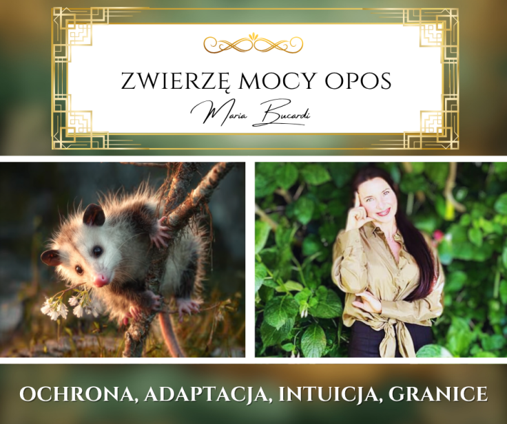 Zwierzęta Mocy wg Marii Bucardi – Zwierzęta Mocy wg Marii Bucardi
